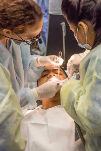 Care Harbor | Gallery